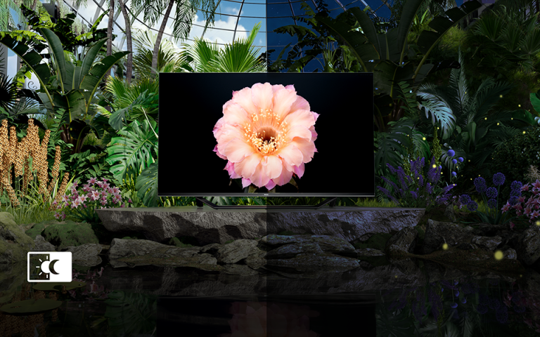 Smart TV QLED 55Q6N – Hisense